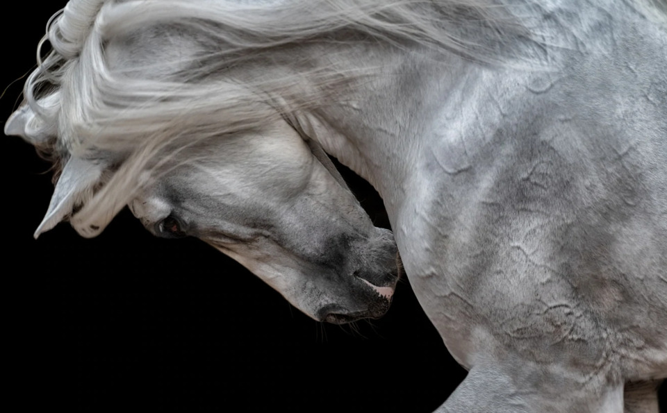 Fotografia Fine Art | Dicas para fotógrafos e notícias sobre fotografia ...